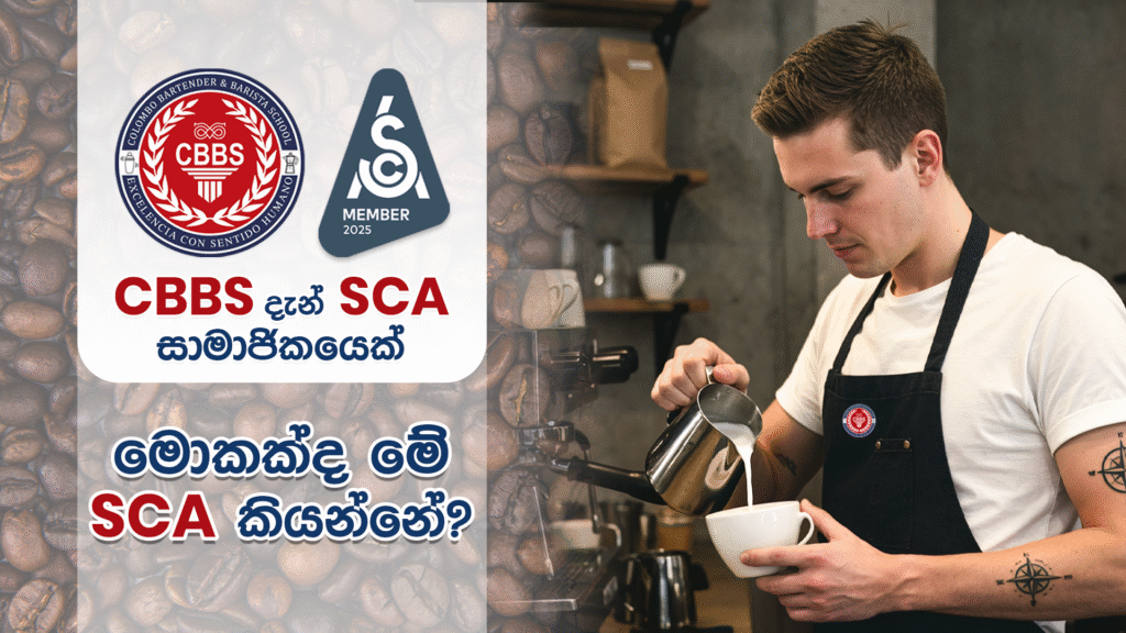 මොකක් ද මේ SCA? - Colombo Bartender & Barista School